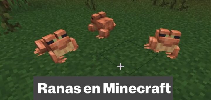 Ranas En Minecraft: Qué Debes Saber - Juegos Farming